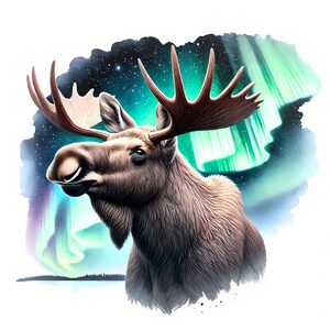 Moose Clipart | 11 High-quality Jpgs | Majestic Moose Clipart Bundle ...