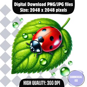 10 PNG/JPG, Ladybug Clipart | Ladybug and Leaf Clipart Bundle | Wall ...