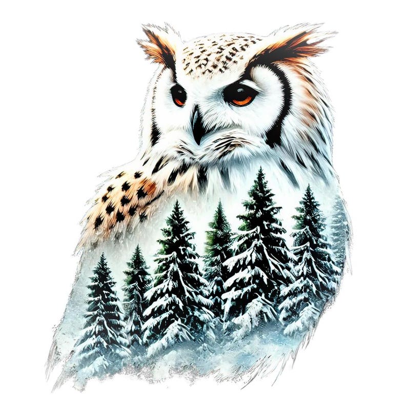 Watercolor Owl Clipart Collection, High-quality Pngs (digital Download ...