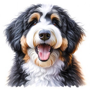 Bernedoodle Clipart - 11 High-quality Jpgs - Cute Bernedoodle Clipart ...