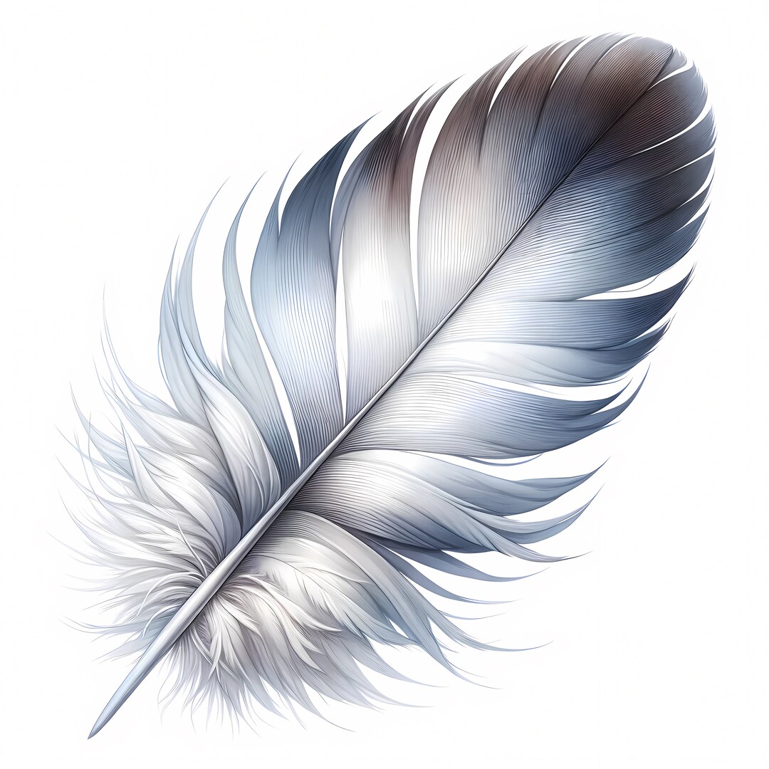 Dove Feather Clipart | 10 High-quality Jpgs | Detailed Vibrant Dove ...