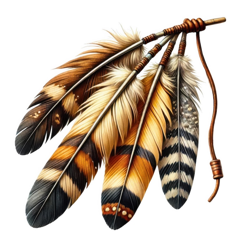 Native Feather Clipart Bundle: Tribal Feather Art (11 PNG/JPG Digital ...