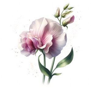 Elegant Flower Clipart | 15 High-quality Jpgs | Colorful Elegant Flower ...