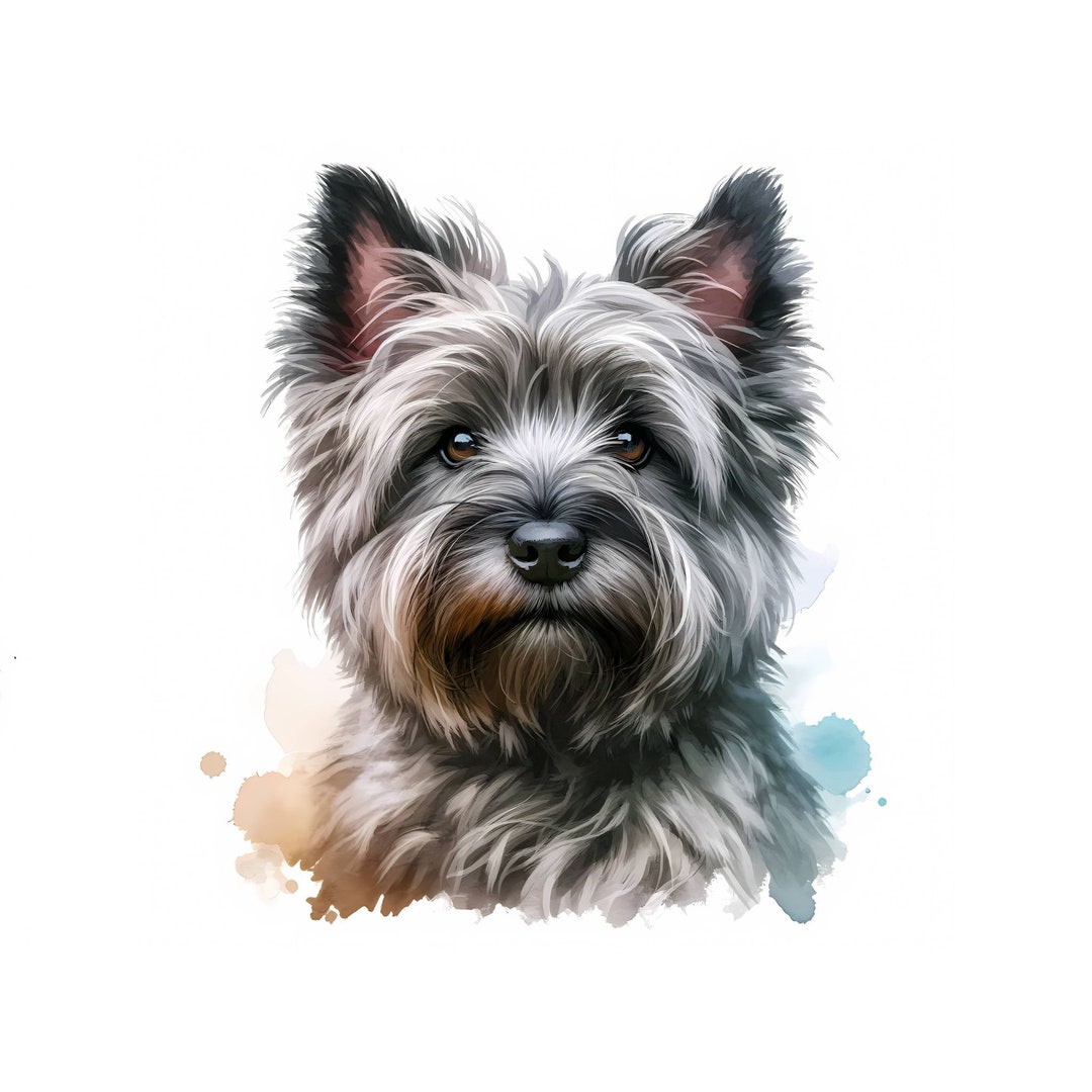 Cairn Terrier Dog Clipart 10 High Quality Jpgs Digital Download Card ...