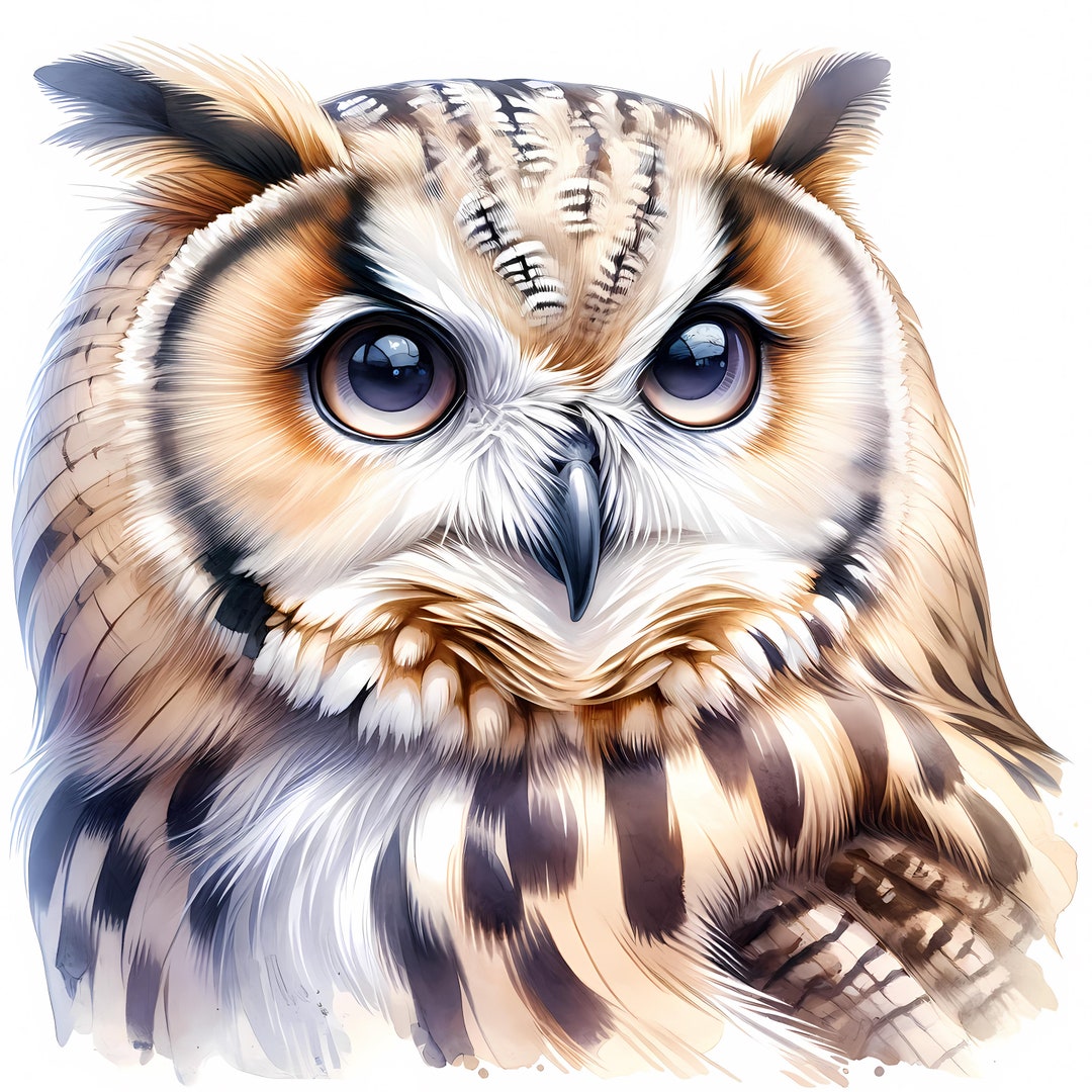Majestic Owl Clipart - 11 High-quality Jpgs - Elegant Owl Clipart ...
