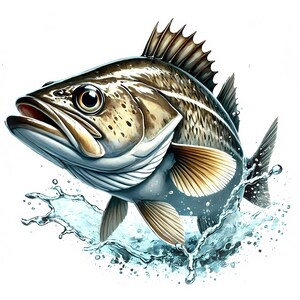 Cod Fish Clipart | 11 High-quality Jpgs | Elegant Cod Fish Clipart ...