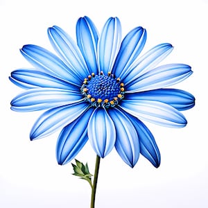 Blue Daisy Clipart | Floral JPG Bundle (digital Download) Set of 10 - Etsy