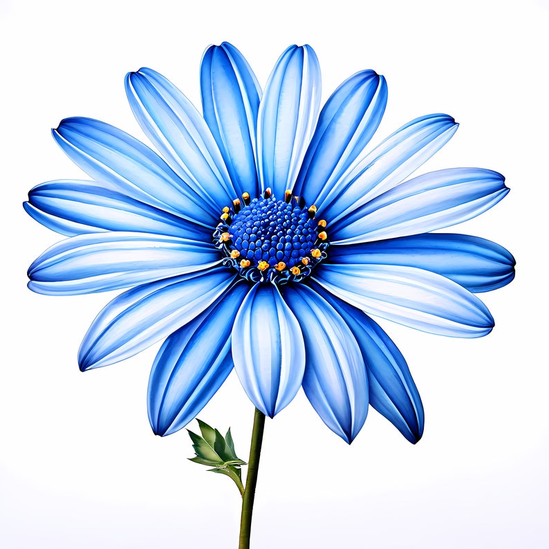 Blue Daisy Clipart 10 High-quality Jpgs Clipart Bundle Wall Art ...