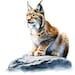 Lynx Clipart 12 High-quality Jpgs Clipart Bundle Wall Art Wild Cat ...