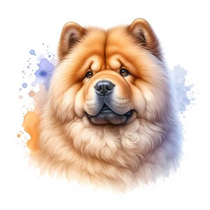 Chow Chow Clipart | 12 High-quality Jpgs | Elegant Chow Chow Clipart ...