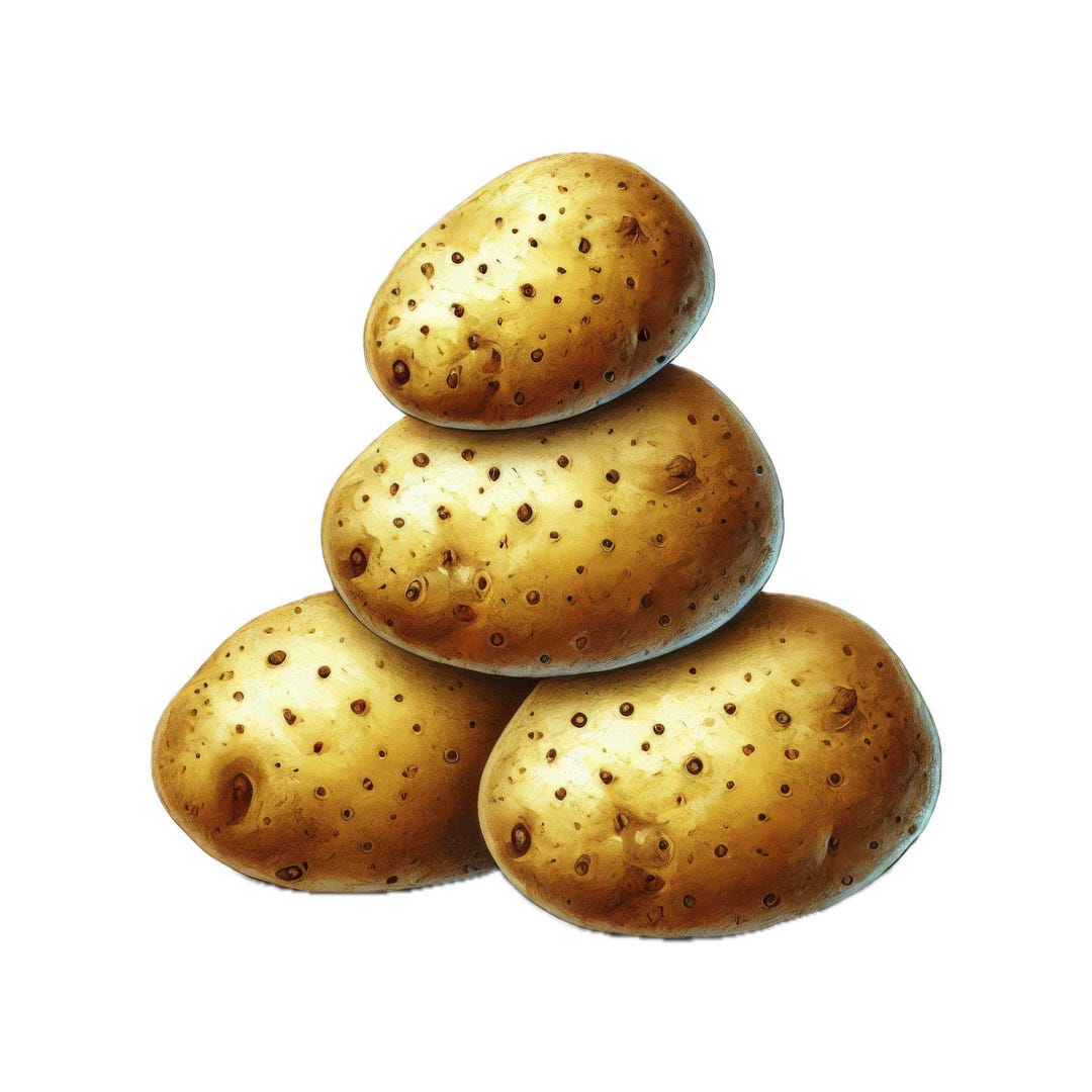 11 Pngs, Potato Clipart | Fresh Potato Clipart Bundle | Vegetable ...