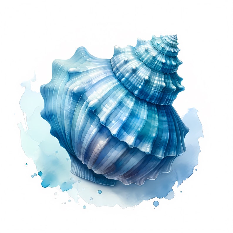 Blue Seashell Clipart 12 High-quality Jpgs Colorful Seashell Clipart ...