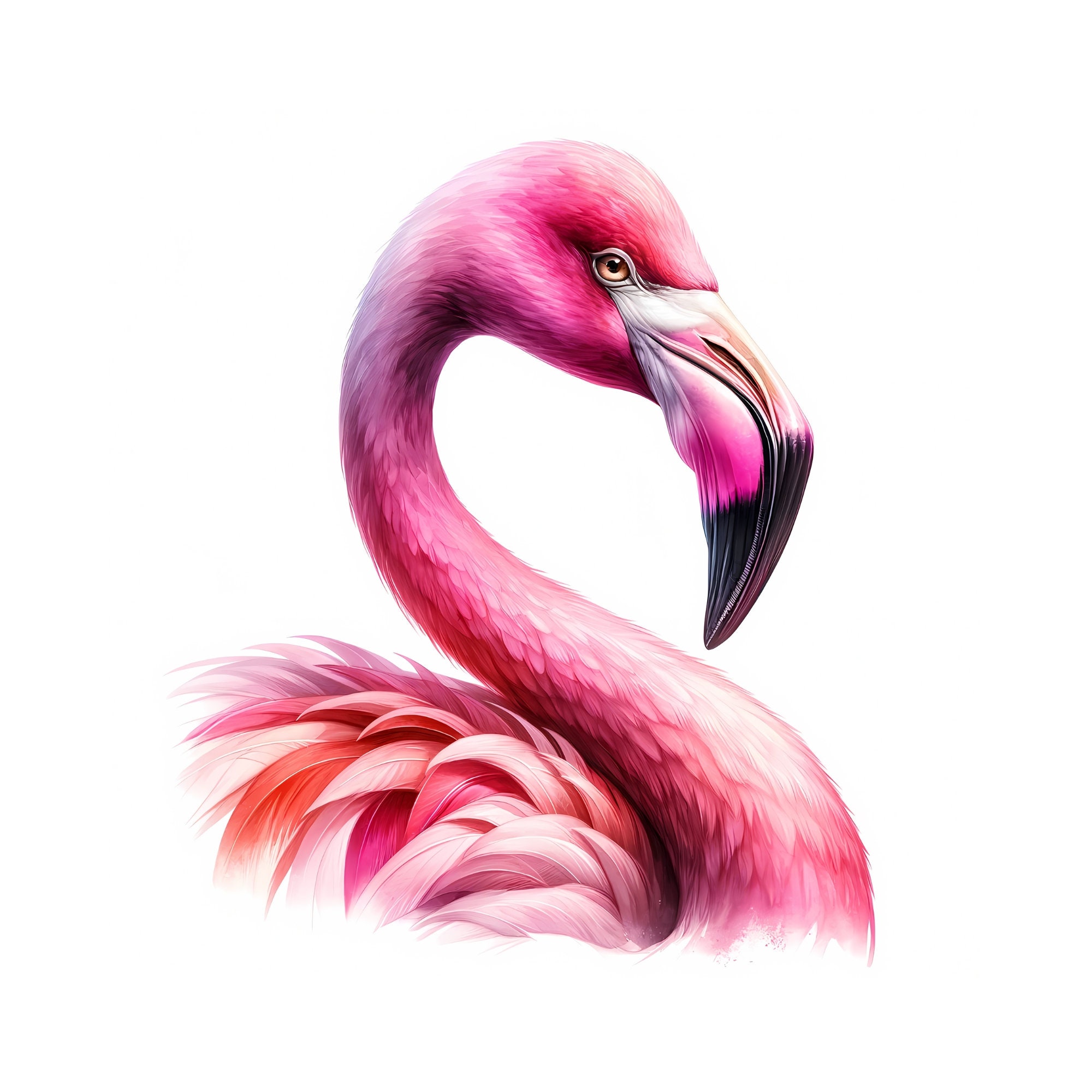 Pink Flamingo Watercolor Clipart | Tropical Bird Art (digital Download ...