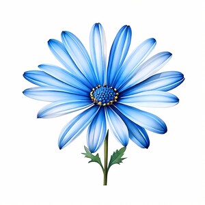 Blue Daisy Clipart | Floral JPG Bundle (digital Download) Set of 10 - Etsy