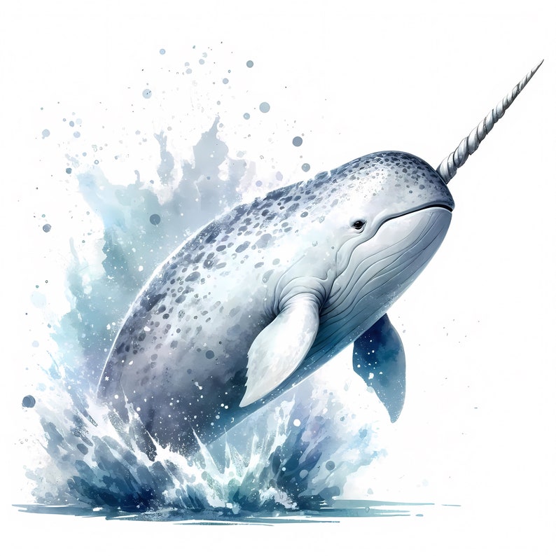 Elegant Narwhal Clipart Bundle | Sea Creature Art (digital Download) 12 ...