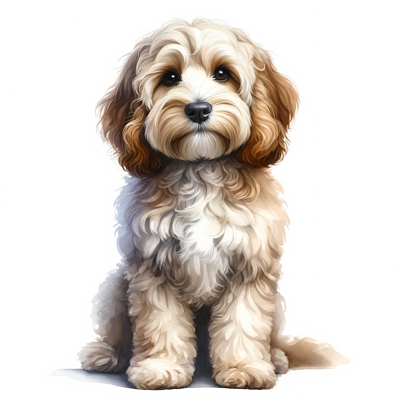 Cockapoo Dog Clipart 12 High-quality Jpgs Digital Download Card Making ...