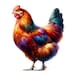 12 Hen Clipart Bundle: Farm Bird Jpgs for Commercial Use (digital ...