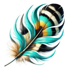 11 PNG/JPG | Native Feather Clipart | Striking Native Feather Clipart ...