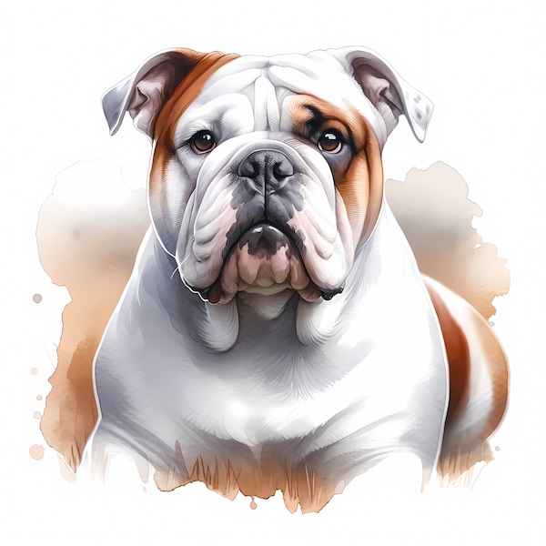 Bulldog Clipart - Etsy