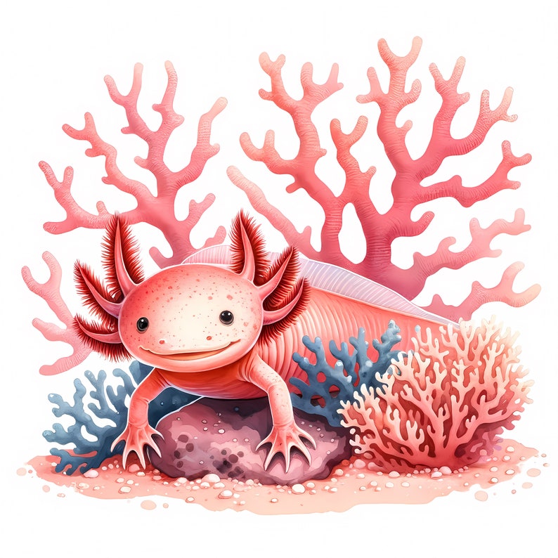 Axolotl Clipart 12 High-quality Jpgs Cute Axolotl Clipart Bundle ...