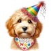 Cockapoo Birthday Clipart | Party Dog Art 11 Jpgs (commercial Use) - Etsy