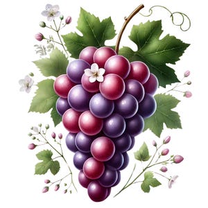 Fruits Clipart | 12 High-quality Jpgs | Realistic Vibrant Fruits ...