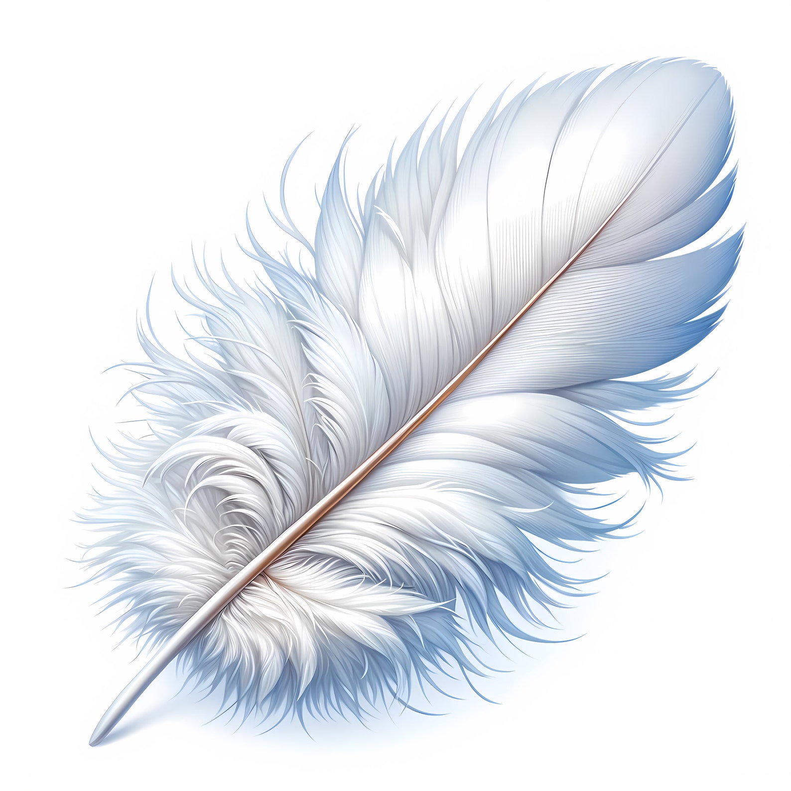 Colorful Feather Clipart 12 High-quality Jpgs Vibrant Feather Clipart ...