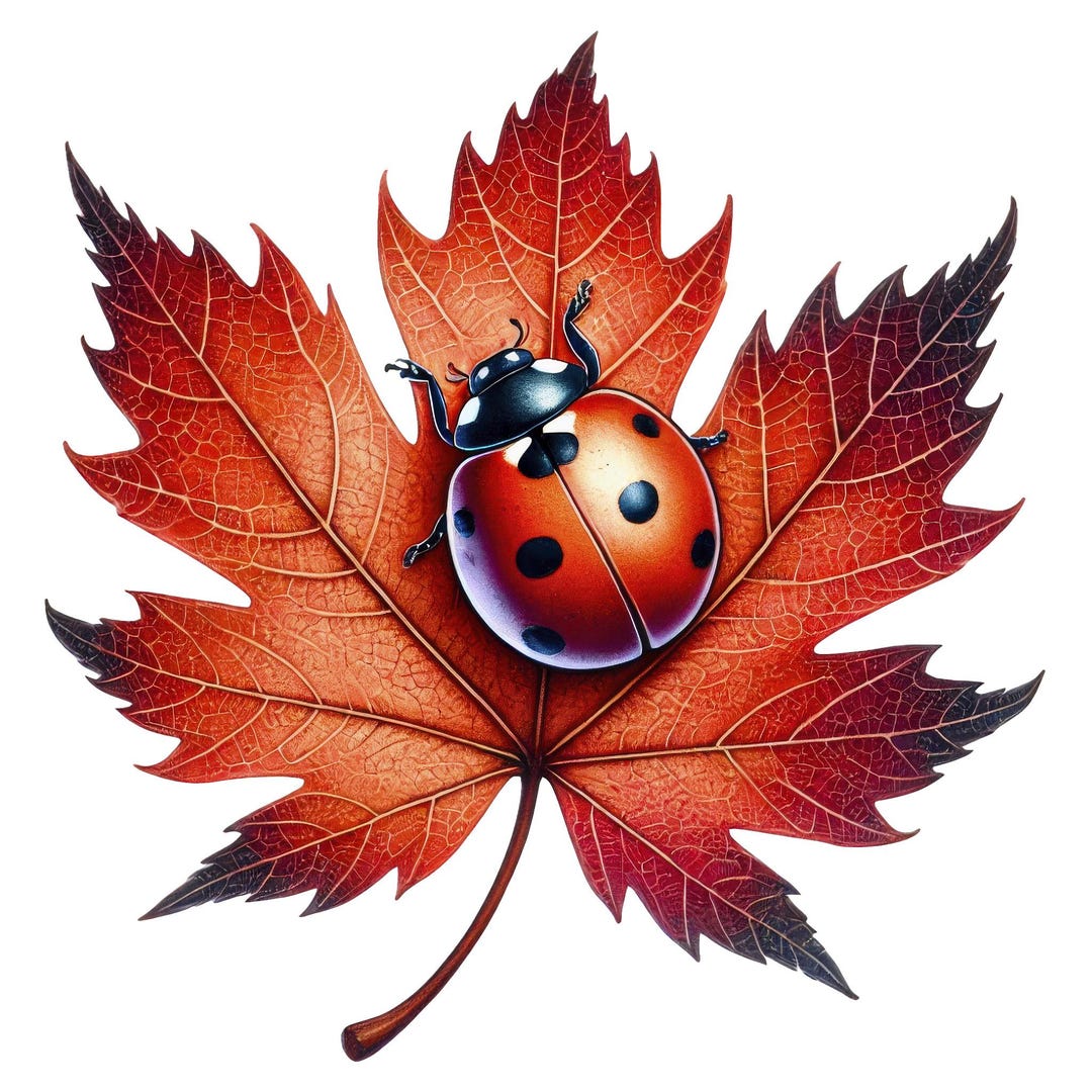 10 PNG/JPG, Ladybug Clipart Ladybug and Leaf Clipart Bundle Wall Art ...