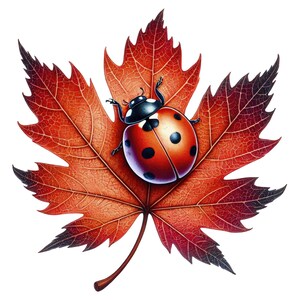 Ladybug and Leaf Clipart Bundle: Garden Art Printables (10 PNG/JPG ...