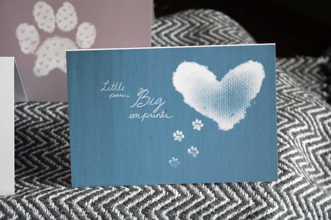 Pack of 60 Veterinary Sympathy Cards and Envelopes for Pet Owners Pet ...