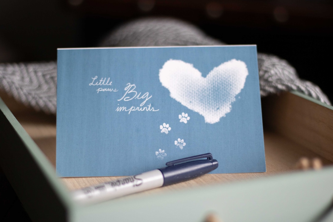 Pack of 30 Veterinary Sympathy Card for Pet Owners Pet Loss Condolence ...