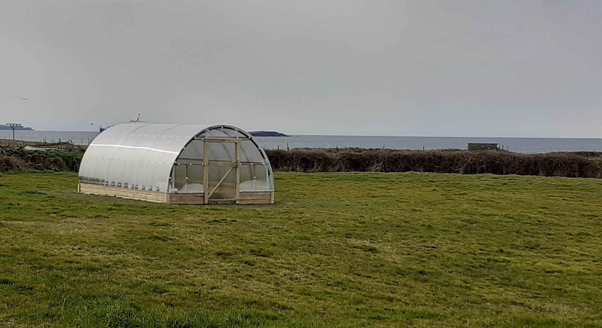 STORMIE 20 Ft Stormproof Polytunnel Greenhouse High Tunnel Wood Framed ...