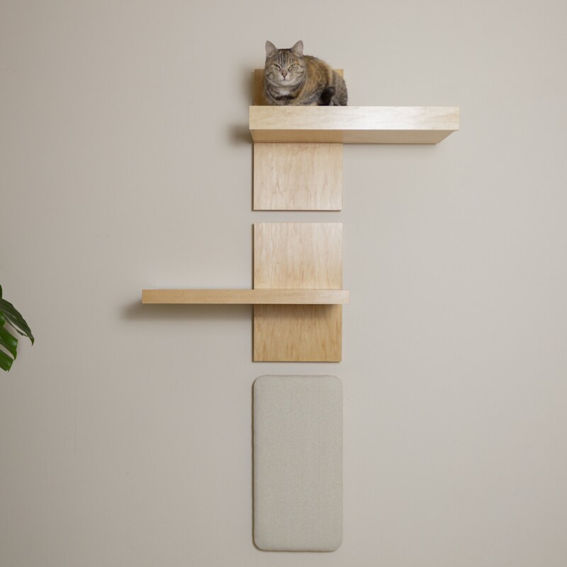 Wall Mounted Cat Shelves - Etsy