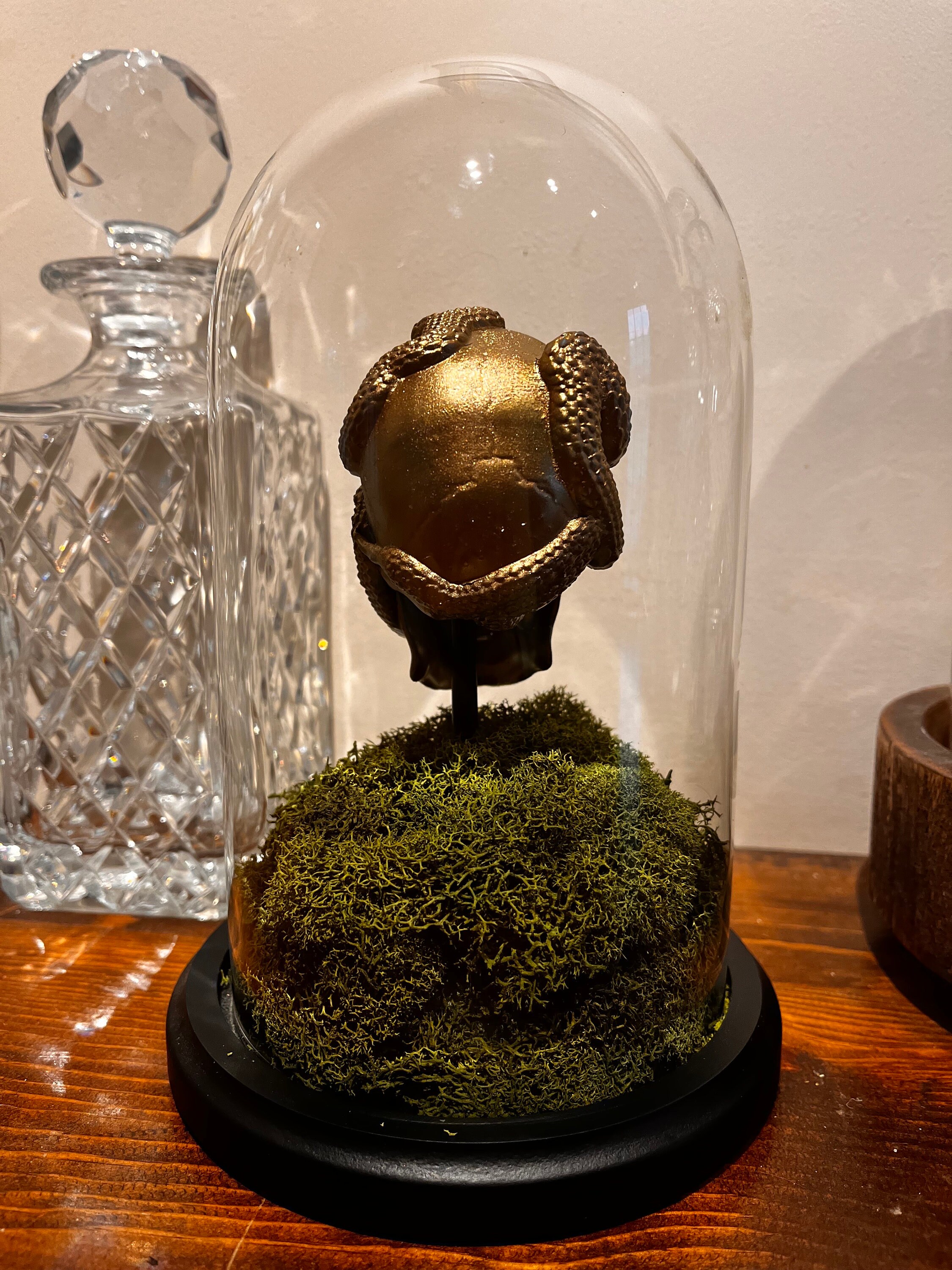 Handmade Skull & Snake in Glass Bell Jar - Etsy
