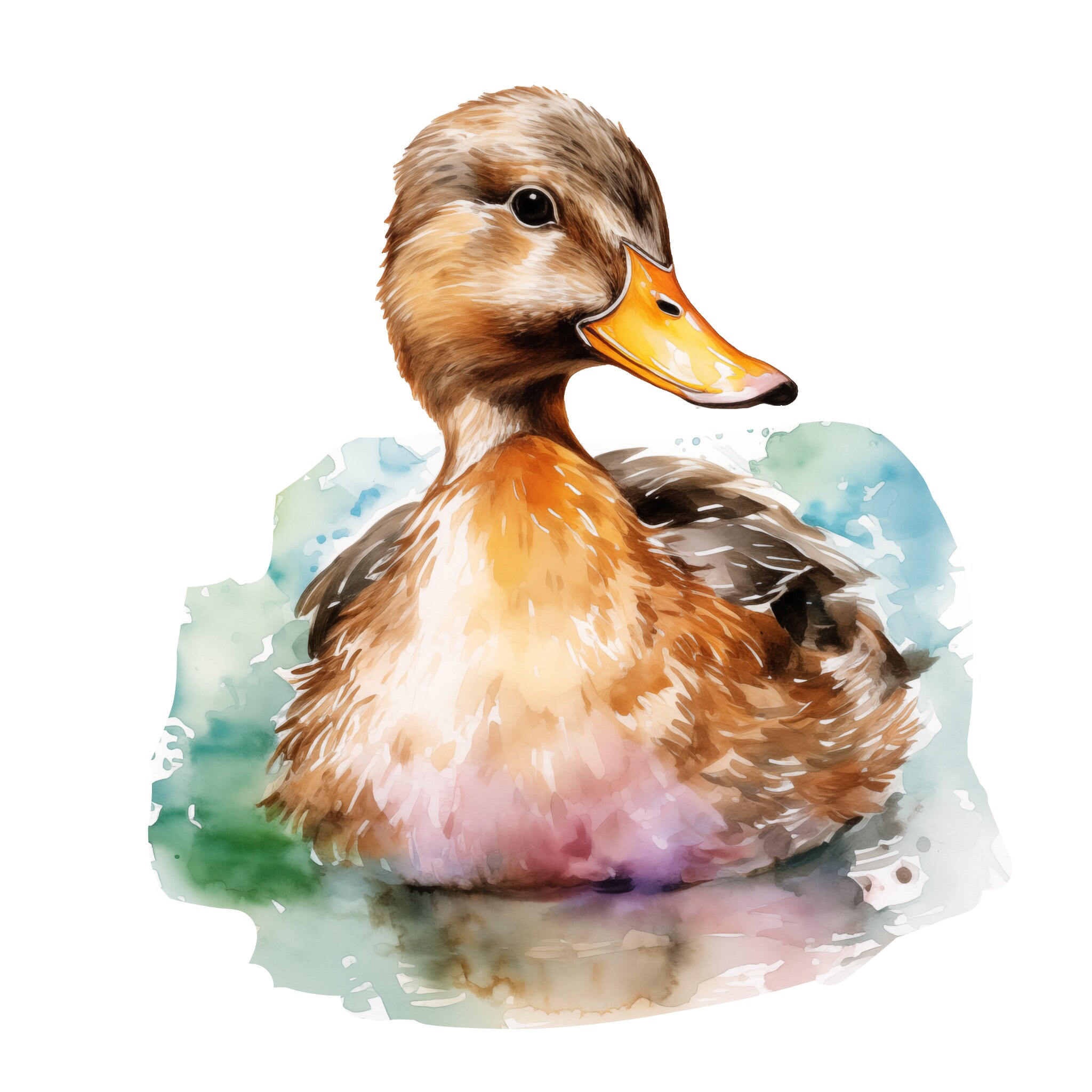 Duck, Clipart Duck, Clipart, Ducks, Watercolor, PNG - Etsy