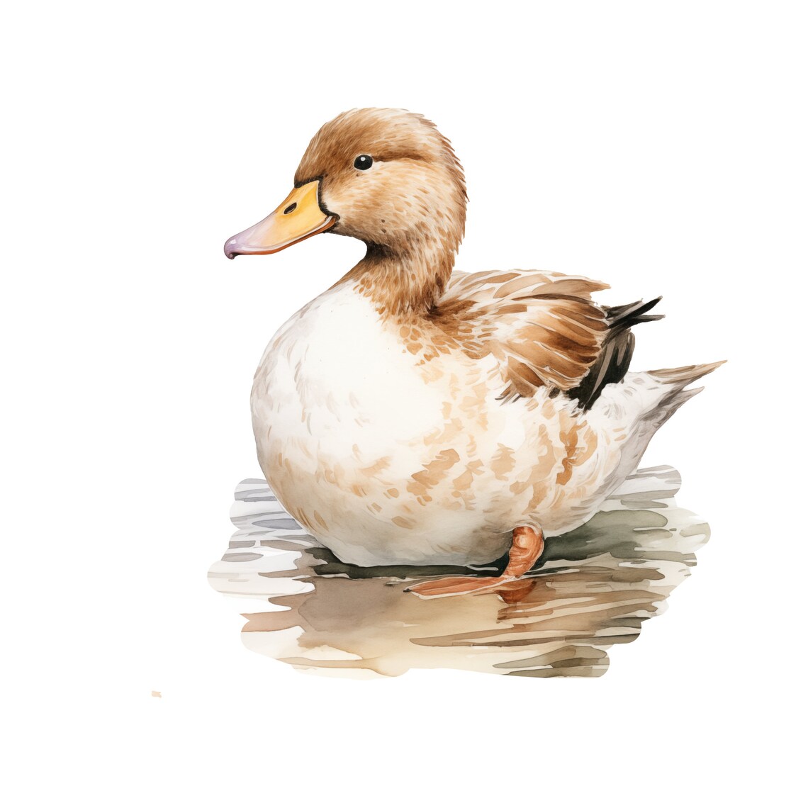 Duck, Clipart Duck, Clipart, Ducks, Watercolor, PNG - Etsy