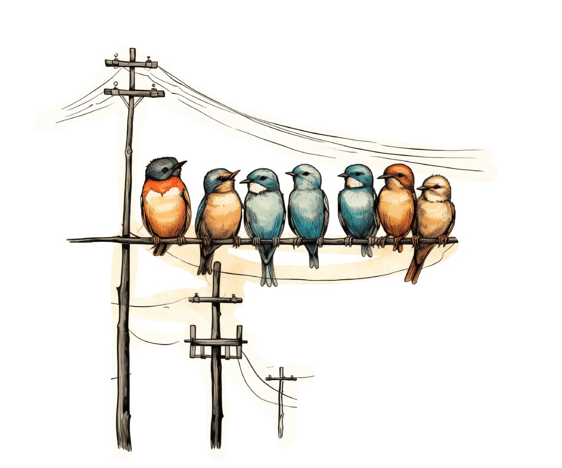 Birds, Cartoon Birds, Sitting on Power Line, Birds on Power Line ...