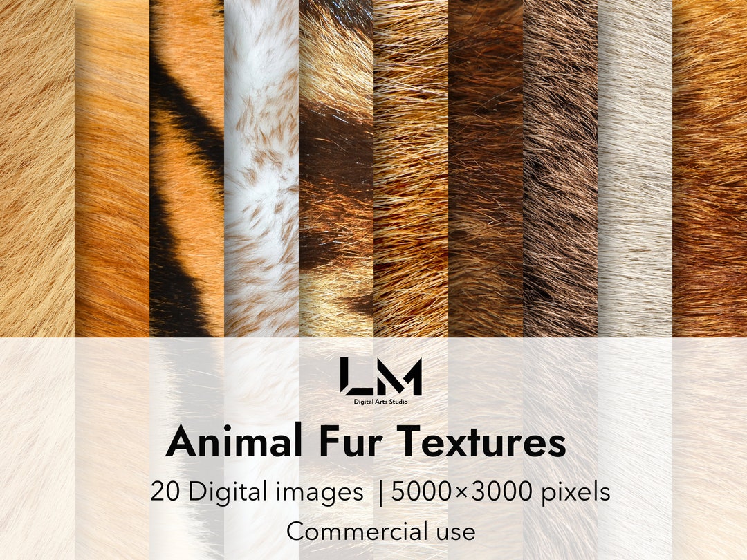 Animal Fur Textures Digital Paper,real Animal Fur Texture Paper,fur ...