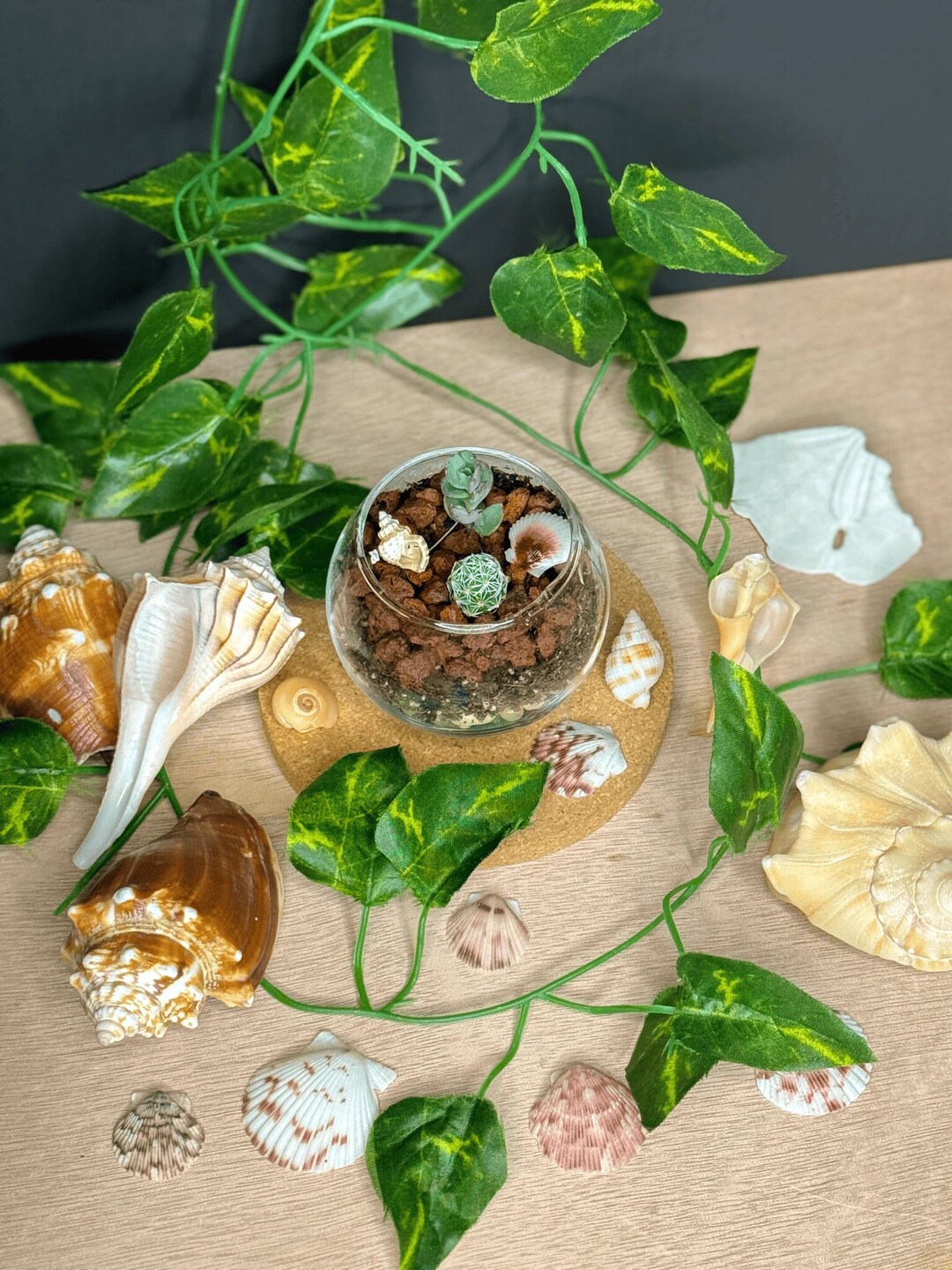 Mini Succulent Terrarium Kit, Home Decor, Custom Personalized Gift, DIY ...