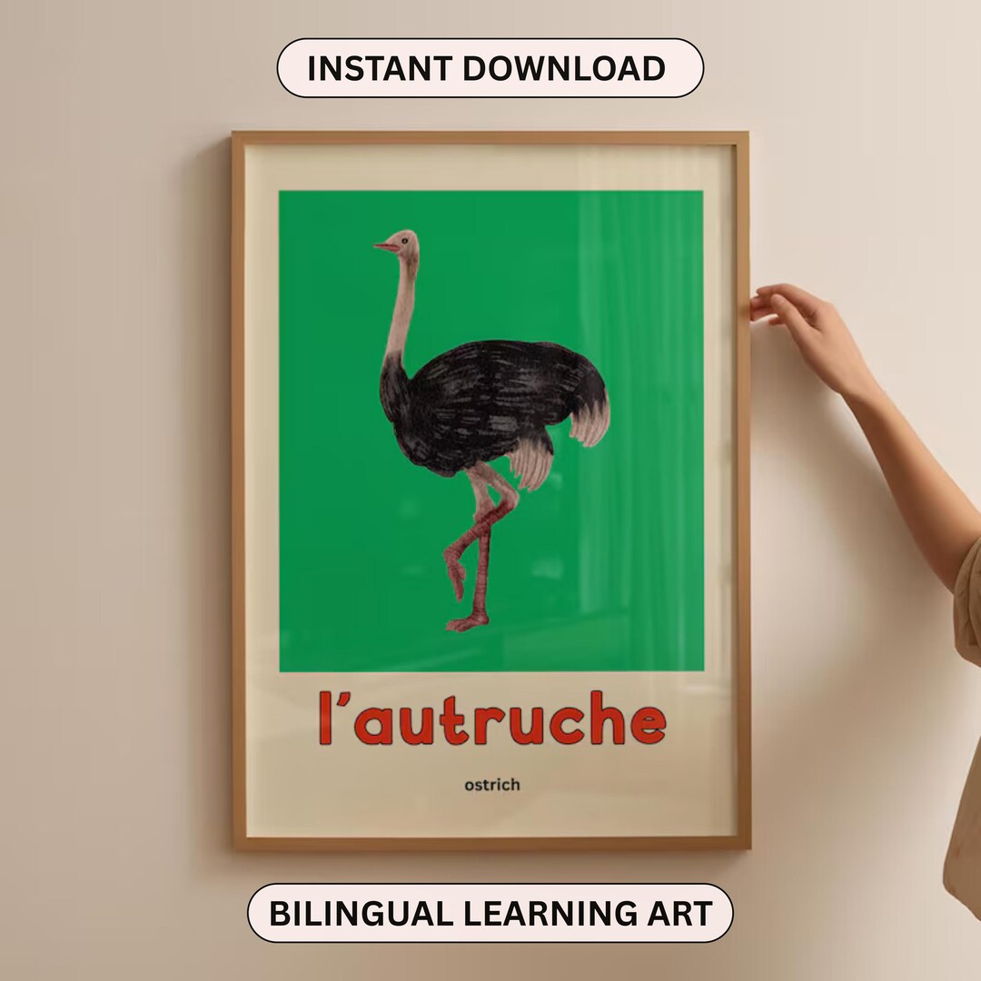 Ostrich French ABC Poster: Bilingual Nursery Wall Art (digital Download ...