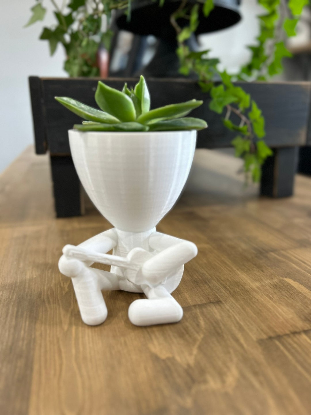 Succulent Planter, Robert Plant, Zen Planter, Succulent Holder, Planter ...