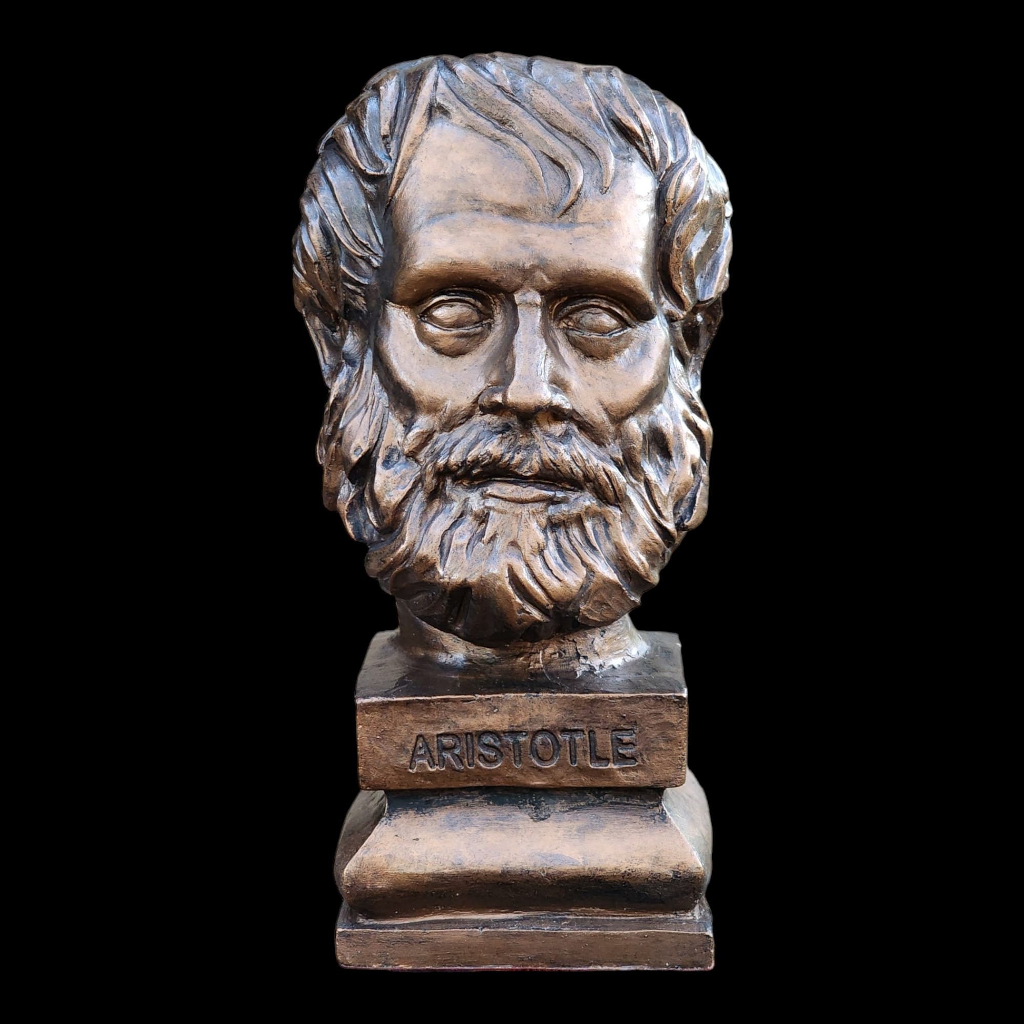 Solid 11 Aristotle Bust Statue, Greek Philosopher Sculpture, Bronze Bust, Home Decor, Gifts ...
