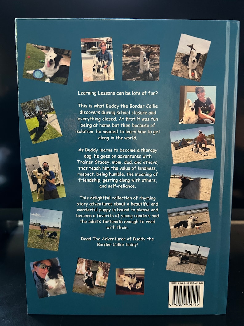 The Adventures of Buddy the Border Collie - Children's Book - Etsy