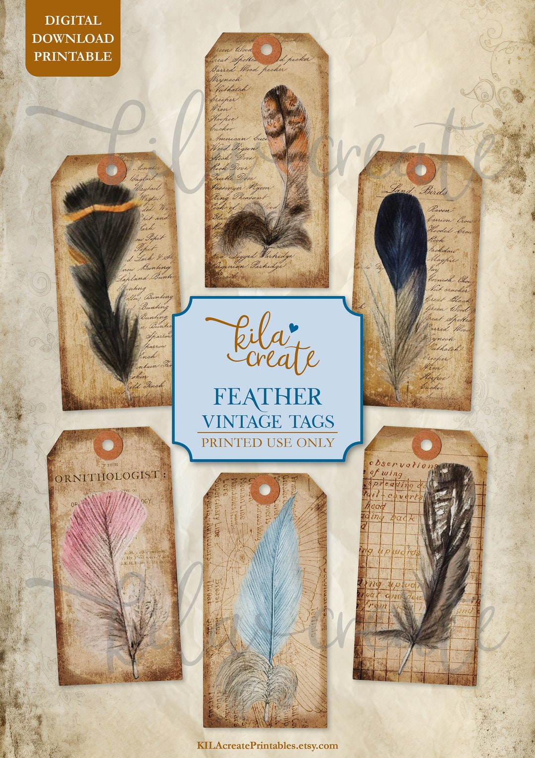 Vintage Feather Tags, Bird Ephemera, Vintage Junk Journal Ephemera ...