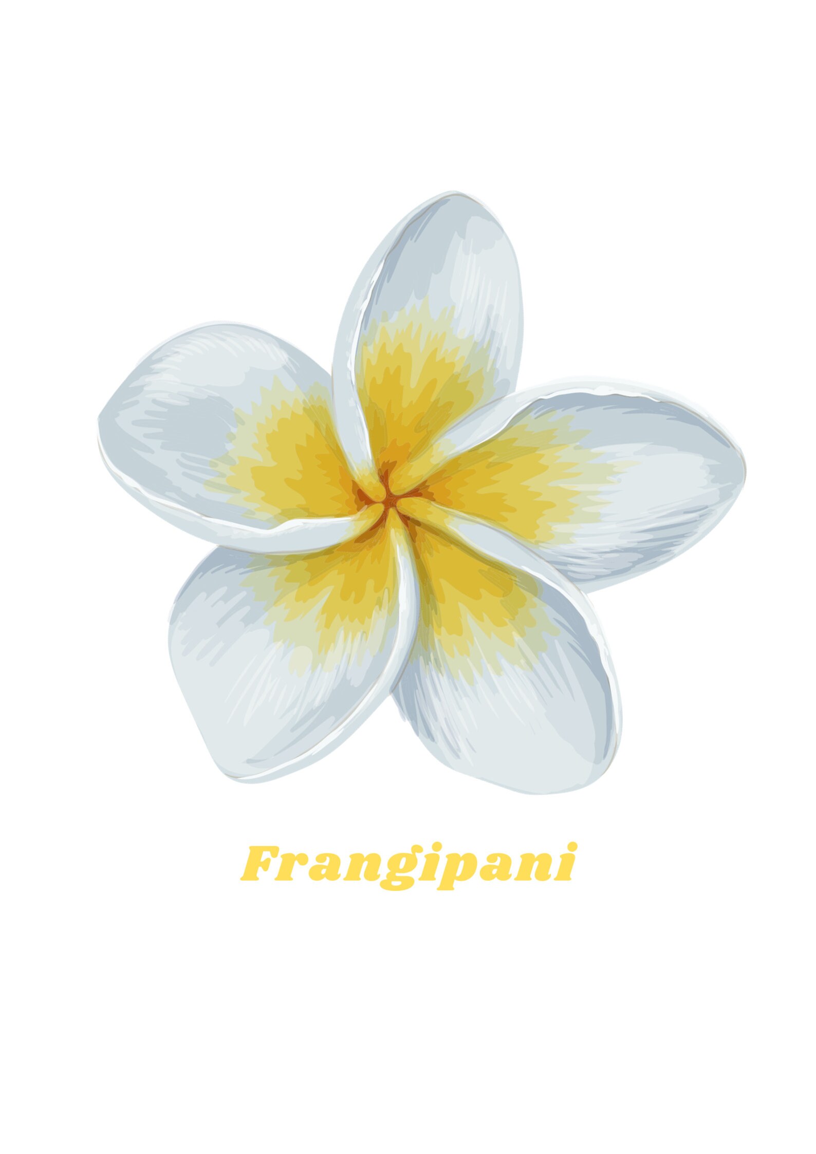 Frangipani Wall Print - Etsy