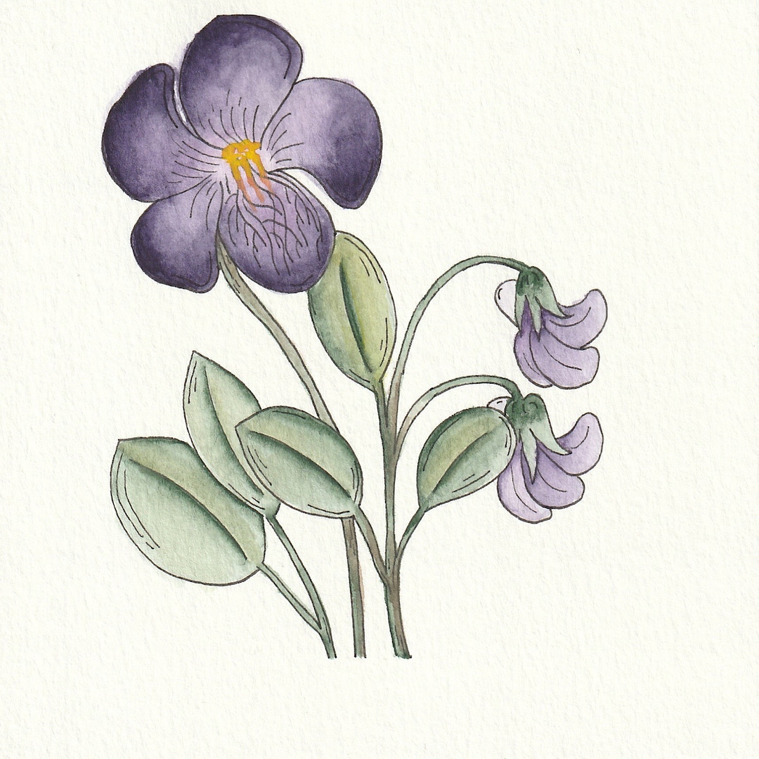 Violet February Birthday Flower - Etsy