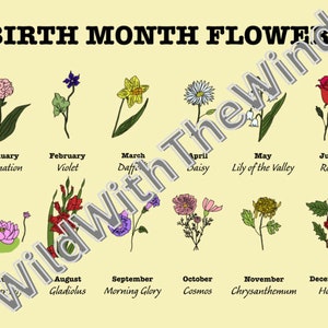 Birth Month Flowers Chart + Flower Postcards (named & Unnamed) - Etsy