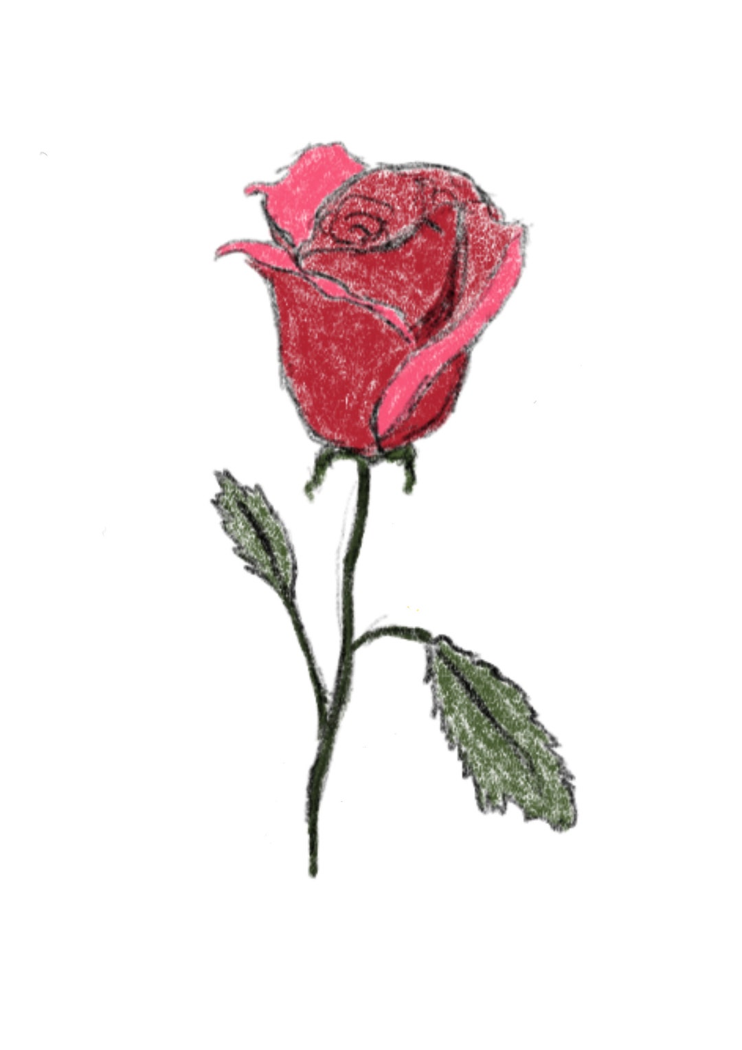 Rose Sketch - Wall Art Printable - Etsy