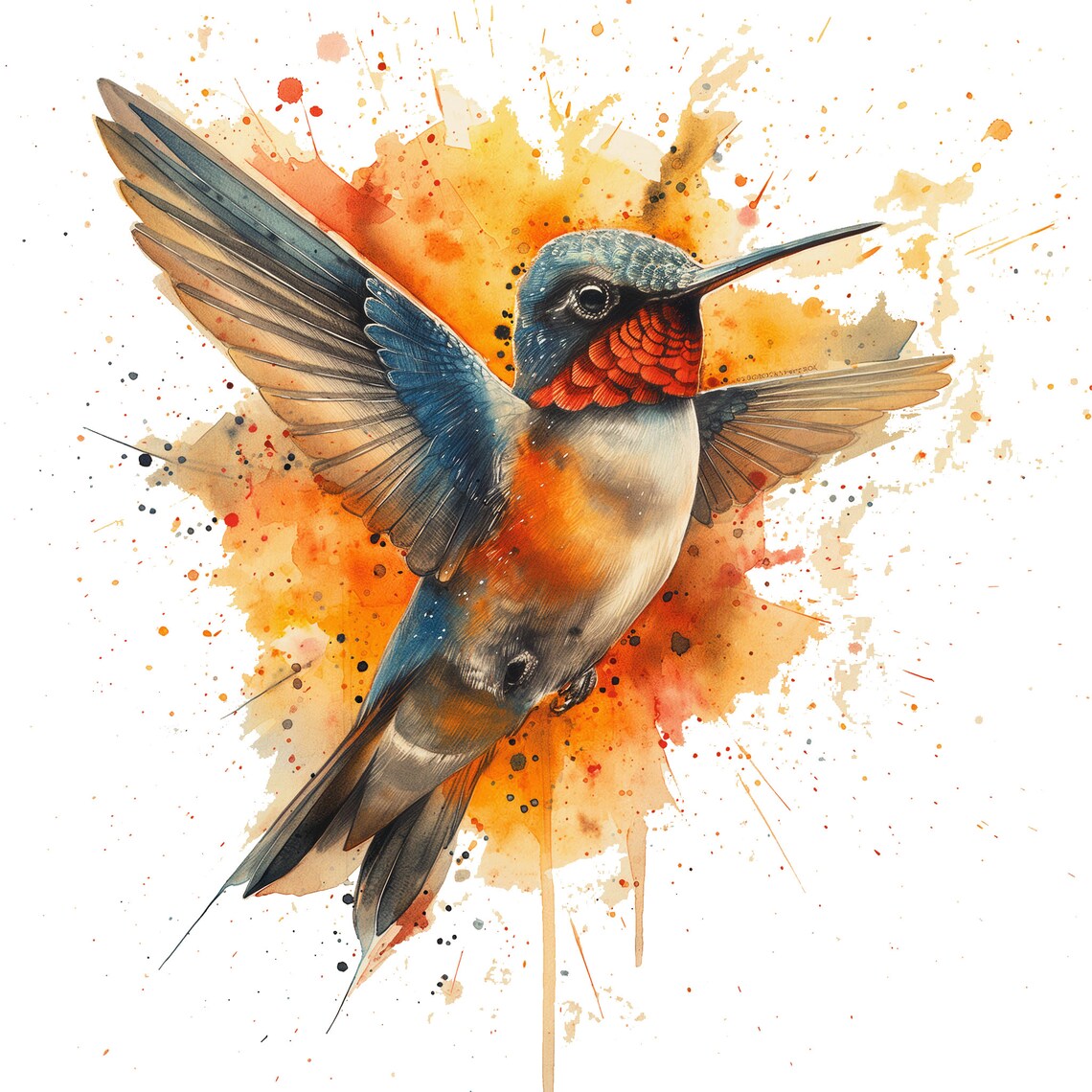 14 Vibrant Watercolor Hummingbirds PNG High-res Transparent Digital ...