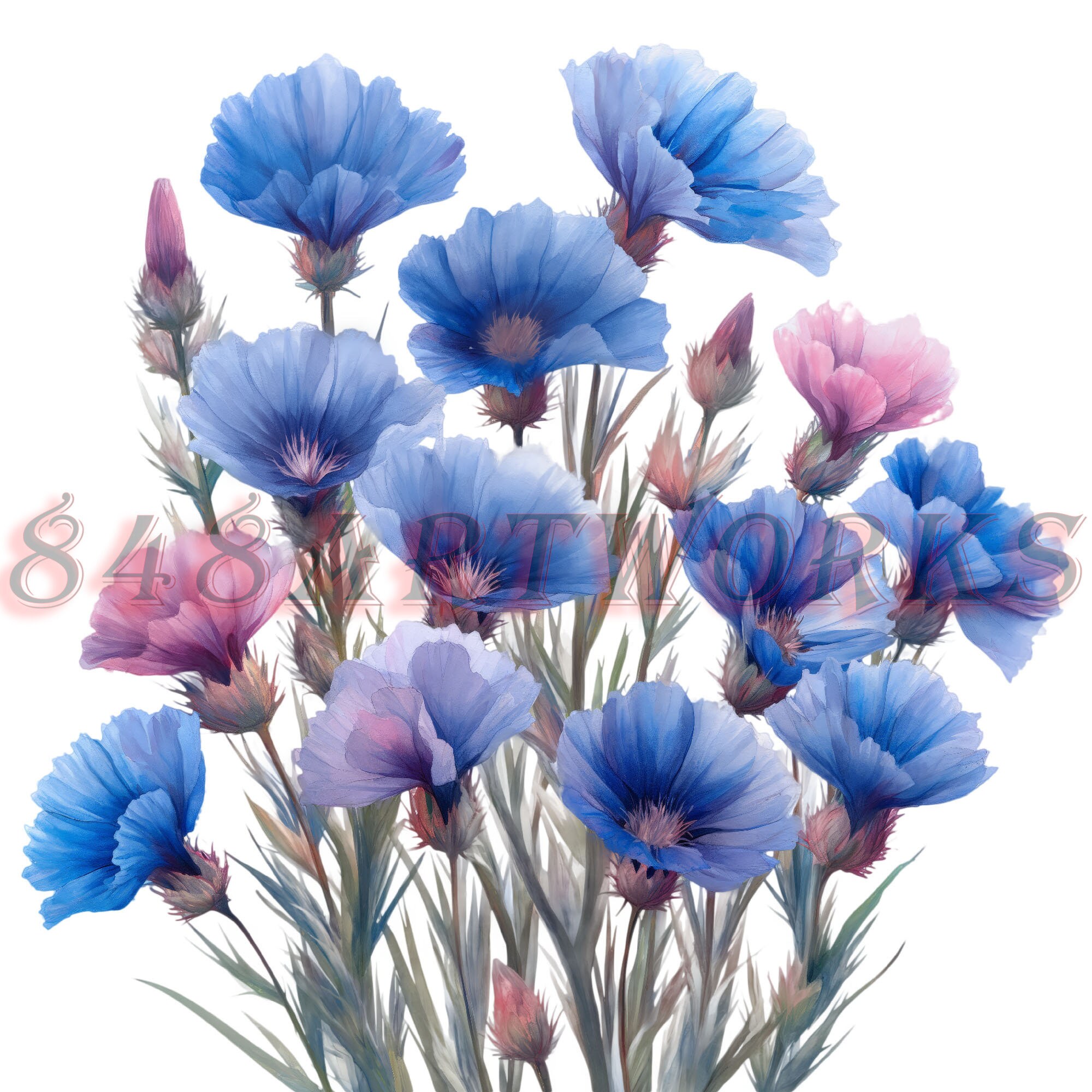 Watercolor Cornflowers Clipart, Wild Flowers, 8 High Quality PNG With ...